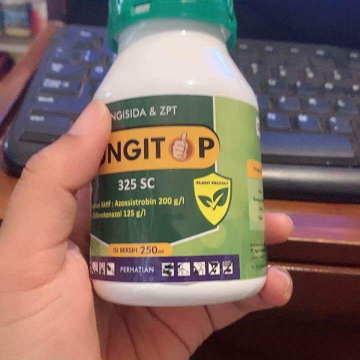 FUNGITOP 325sc adalah fungisida plus zpt(isi bersih 250ml) | Lazada ...
