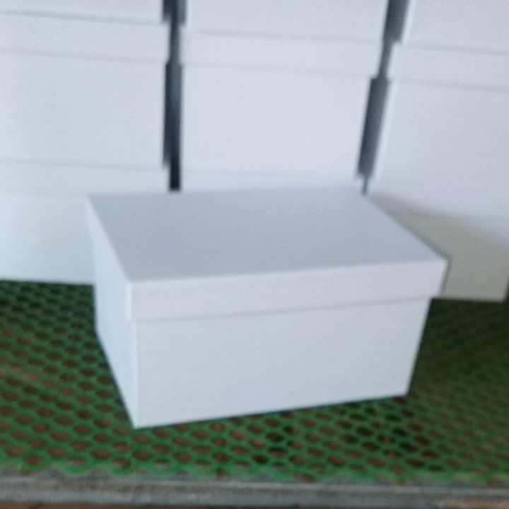 8x5.5x4 inches rectangle box hard boxes | Lazada PH