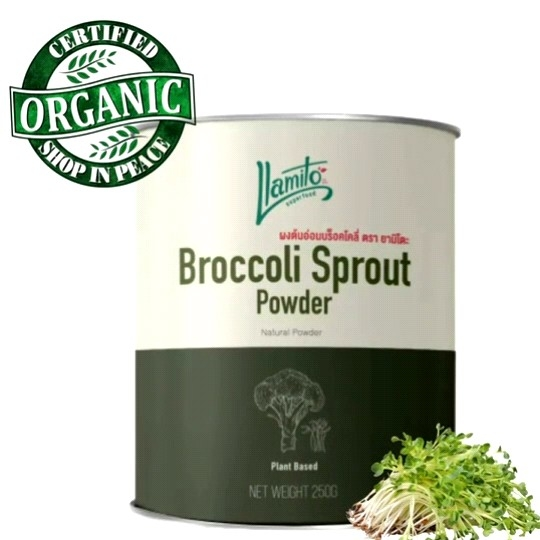 🌿Broccoli Sprout Powder Premium ผงต้นอ่อนบร็อคโคลี่ ผงบล็อคโคลี่ เกรดพร ...