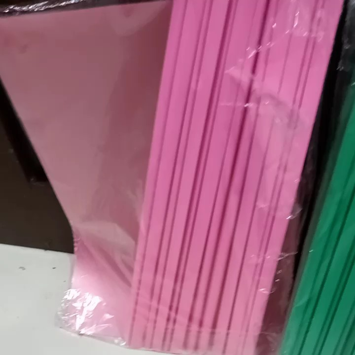 Sliding folders A4 ( plastic) 12 pcs per pack | Lazada PH