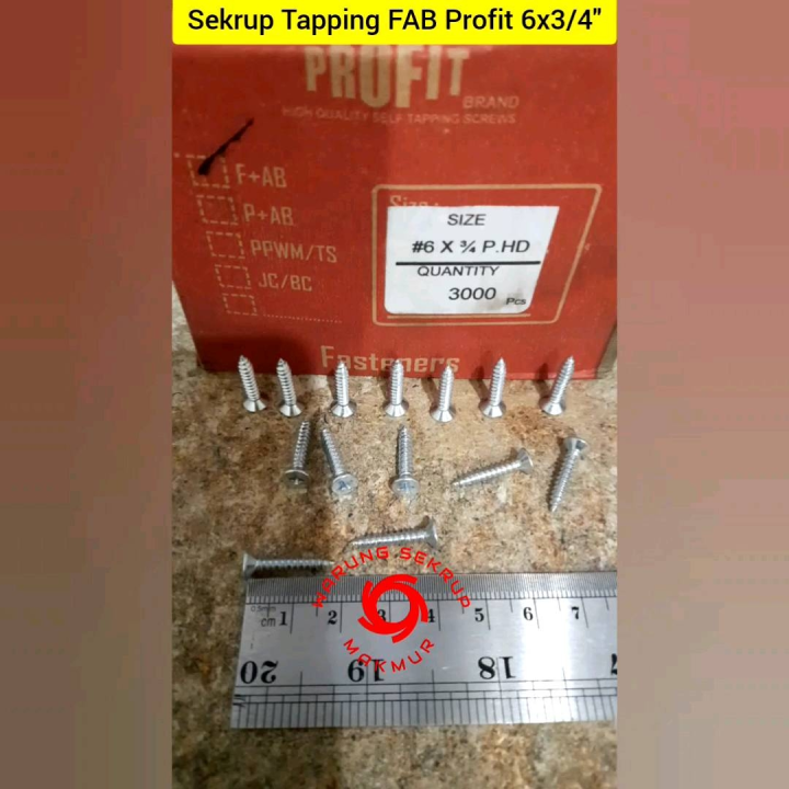 (100 pcs) Sekrup FH #6x3/4" / Self Tapping Screw F+AB (2CM) | Lazada ...