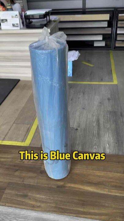 Blue Canvas ( PE Sheet) Plastic Sheet | Lazada