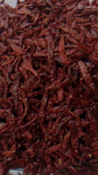 cabe kering murah 1 kg packing /cabe rawit/caplak/teja bersih tanpa ...