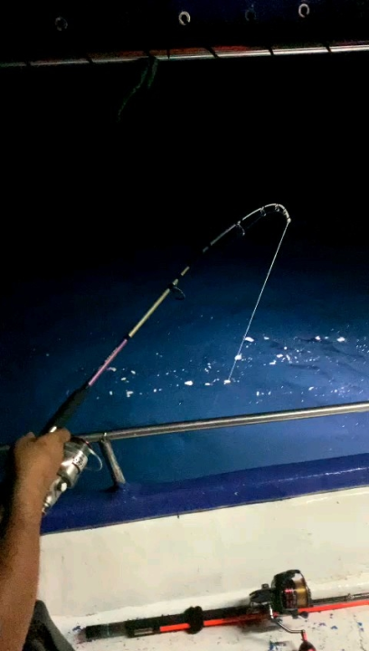 PERAMBUT CANDAT SOTONG(*perambut sahaja) | Lazada