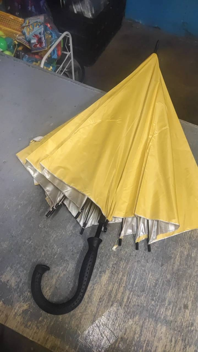 23-Inch Silver-Black J-Handle Umbrella: Stylish Rain Protection ...