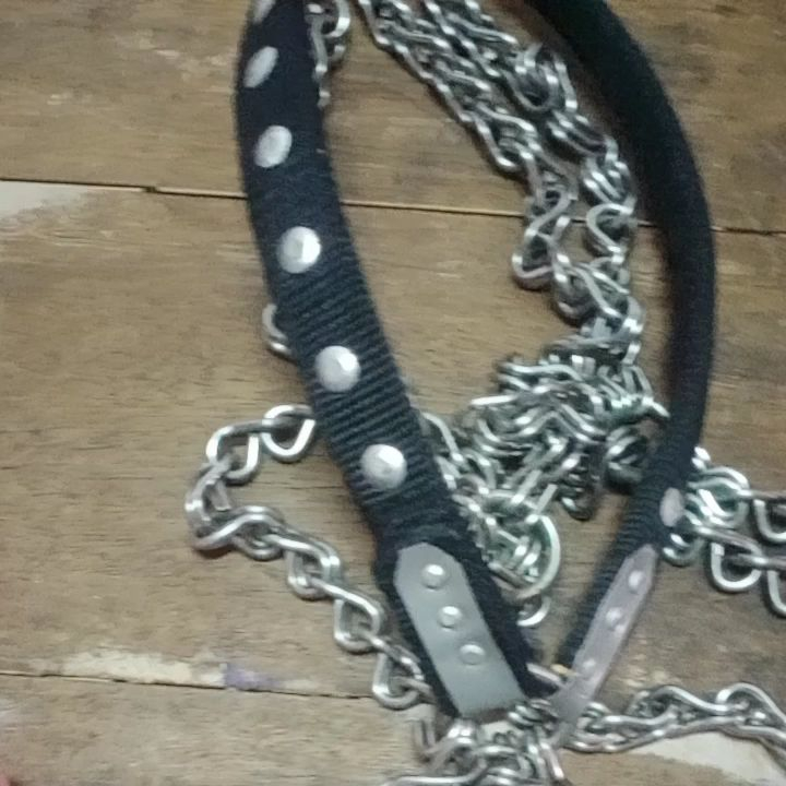 SPL design Stainless Double Horse Mortigon or Busal | Lazada PH