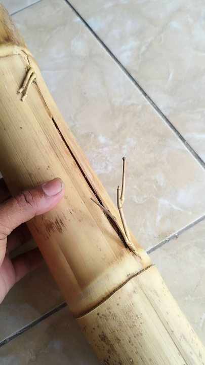 bambu unik petuk | Lazada Indonesia