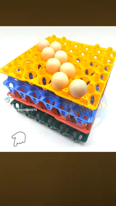 30Pcs Plastic Egg Tray Bekas Tray Telur | Lazada