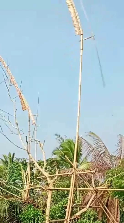 maiann kincir angin otomatis atau kolecer panjang 80cm | Lazada Indonesia