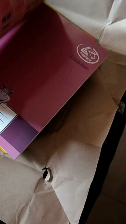 Assorted Writing Notebook 80's /10pcs | Lazada PH