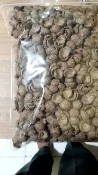 COCO CRUNCH TERBARU / KOKO KRUNCH ENAK- CHOCO MANIS | Lazada Indonesia