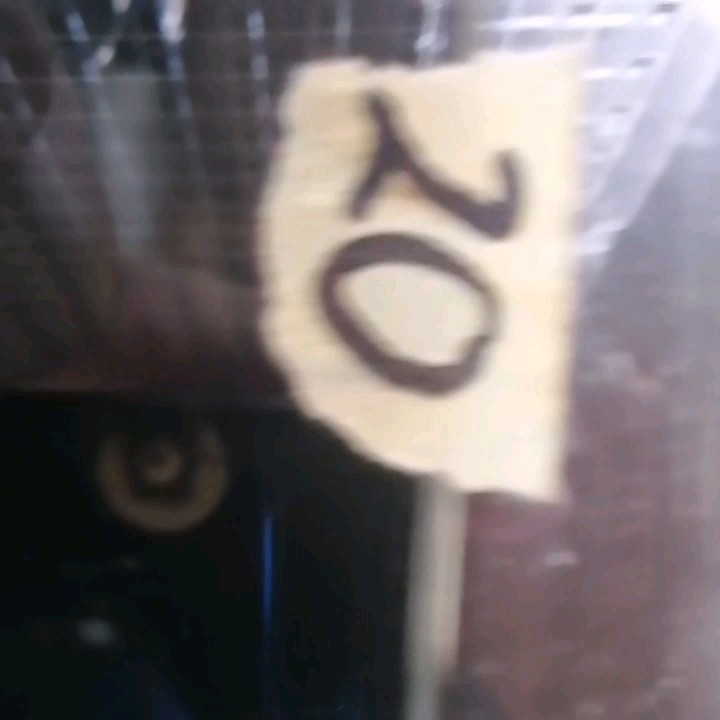 red devil angel fish ( PAIR )(20) | Lazada