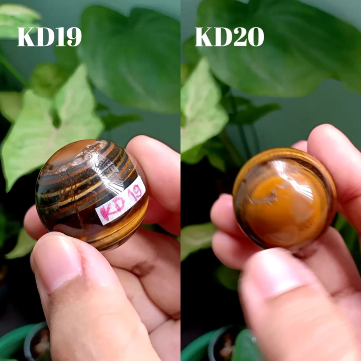#KD19-#KD20 Tiger Eye | ไทเกอร์ อาย ทรงกลม ขนาด 3 cm หินธรรมชาติ หินสะสม หินสีน้ำตาล | Lazada.co.th