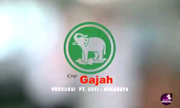 Minyak Kayu Putih Cap Gajah 30ml | Lazada Indonesia