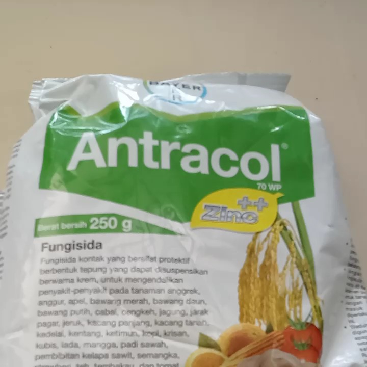 Antracol fungisida 70 WP 250g | Lazada Indonesia