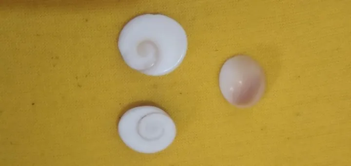 Bayugo o shiva eye 3pcs. | Lazada PH