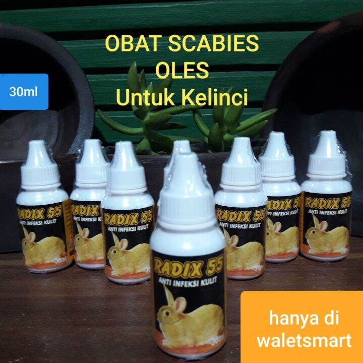 RADIX 55 30ml Obat Scabies Oles Anti Infeksi Kulit untuk Kelinci ...