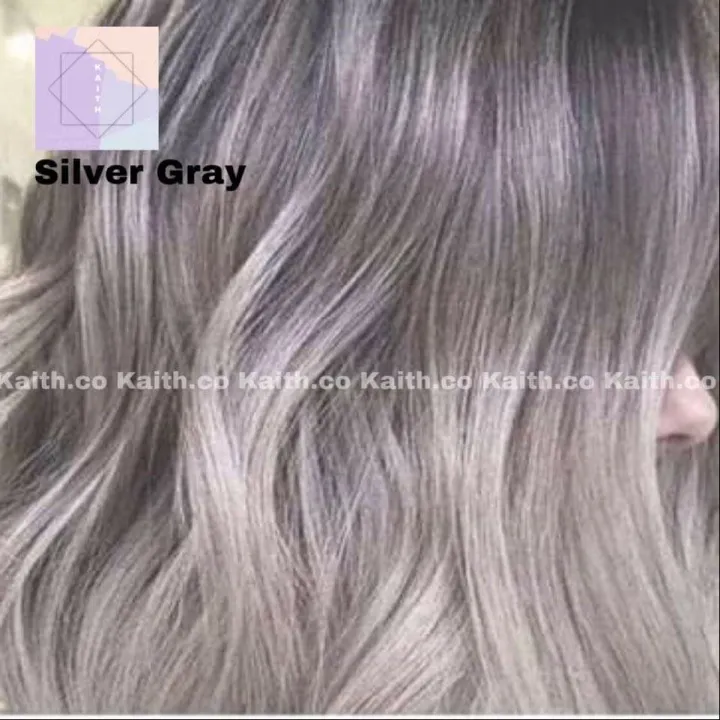 10.0 silver gray bremod hair colorant only or w/ oxidizer set. | Lazada PH