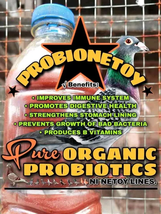Probiotic Ni Netoy | Lazada PH