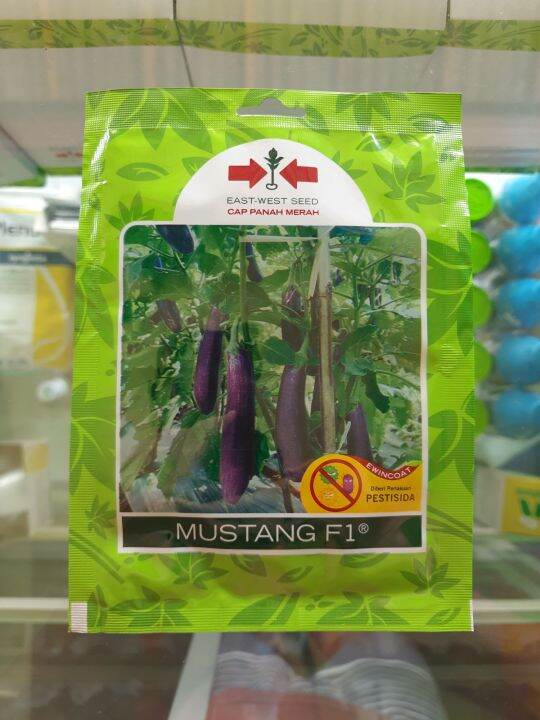 Benih Bibit Terung Ungu Hibrida MUSTANG F1 Isi 400biji | Lazada Indonesia