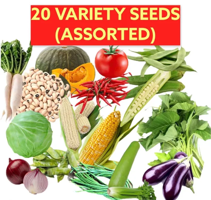 20 kinds of seed assorted/variety small gram for starter pack ...