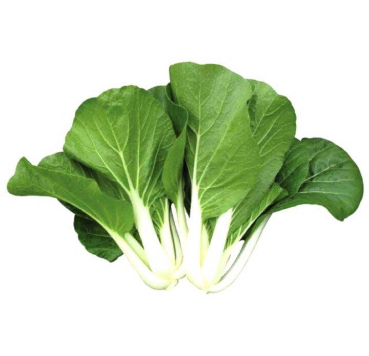 Pechay approx 200seeds | Lazada PH