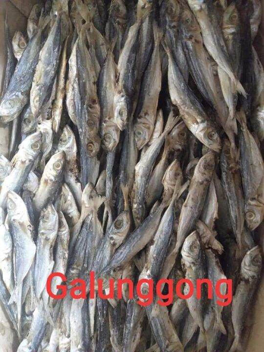 Tuyo Galunggong /DRIED GALUNGGONG FISH 1/2 Kilo | Lazada PH