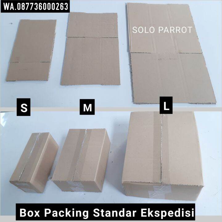 Box Kardus Ukuran L untuk Packing Standar Ekspedisi | Lazada Indonesia