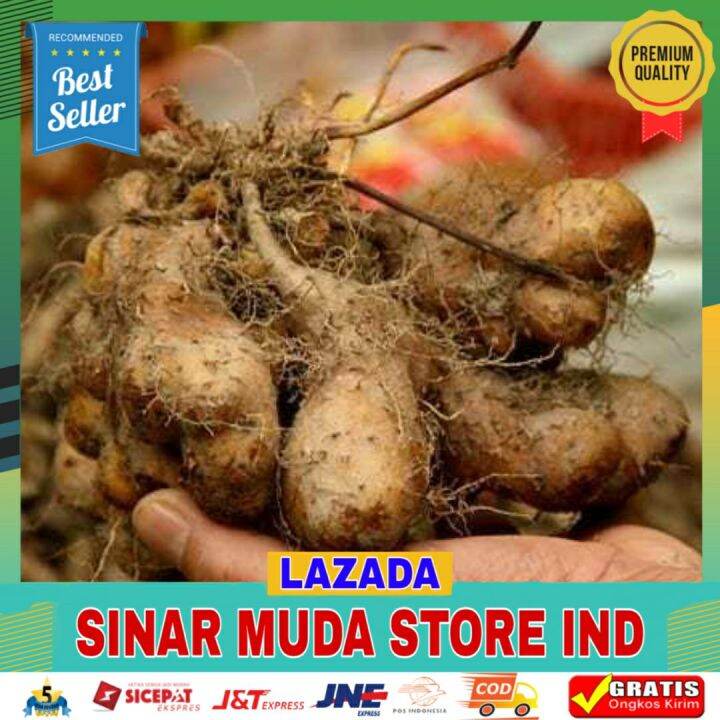 Ubi Gembili Makanan Tradisional - Jual Umbi Gembili 1 kg | Lazada Indonesia