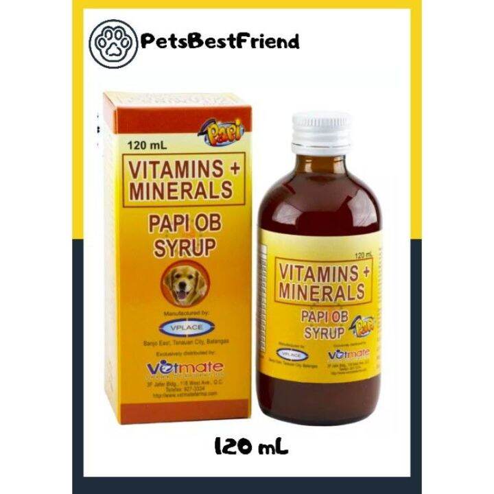 PAPI OB SYRUP 120ML | Lazada PH