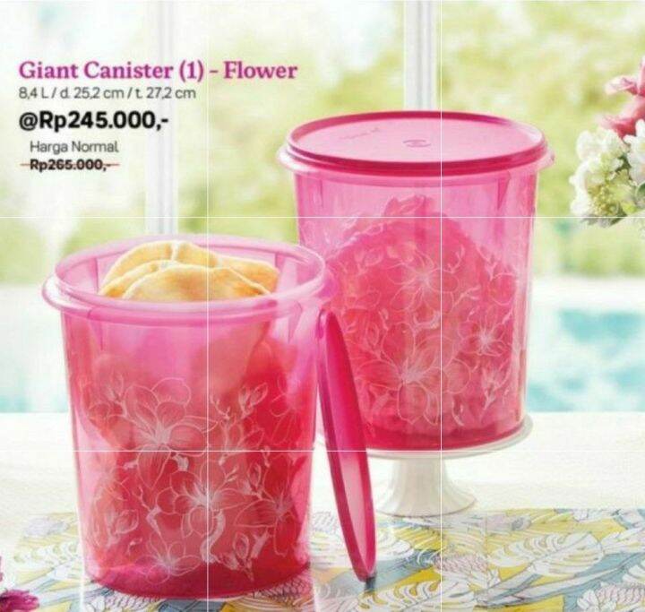 Giant canister flower/ Toples Tupperware | Lazada Indonesia