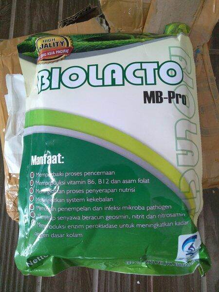 Probiotik Ikan dan udang Biolacto Lactobacillus | Lazada Indonesia