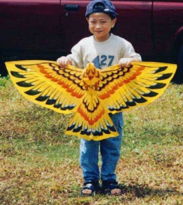 Layangan burung garuda-layangan parasut lipat-layangan pantai | Lazada ...