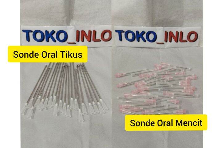 Sonde Mencit Oral / SondeTikus Oral / Sonde Oral per pcs | Lazada Indonesia