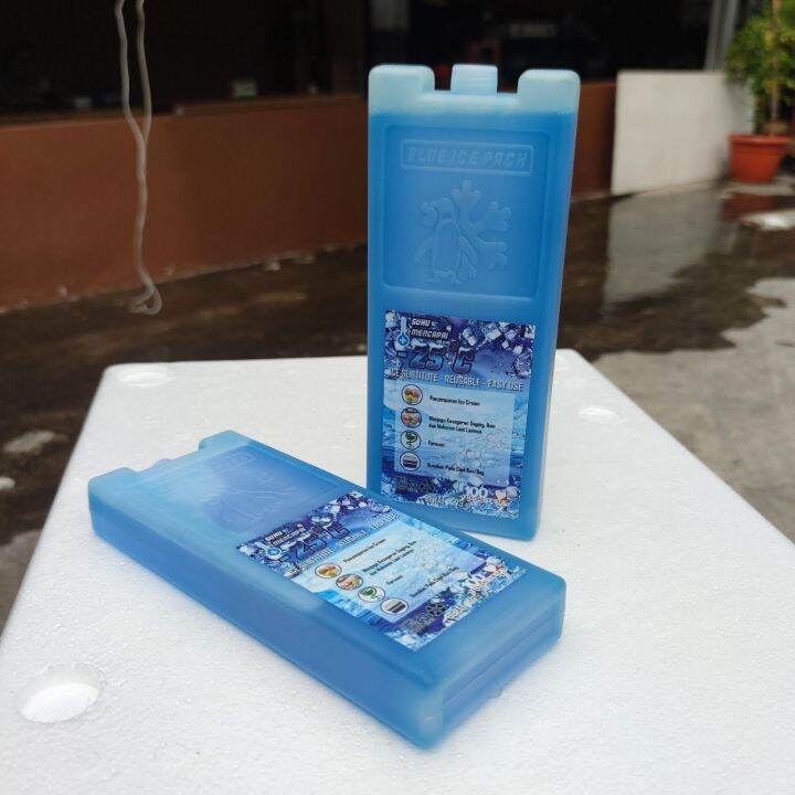Ice Pack Bata New Blue IcePack Kotak Pengganti Dry Ice | Lazada Indonesia