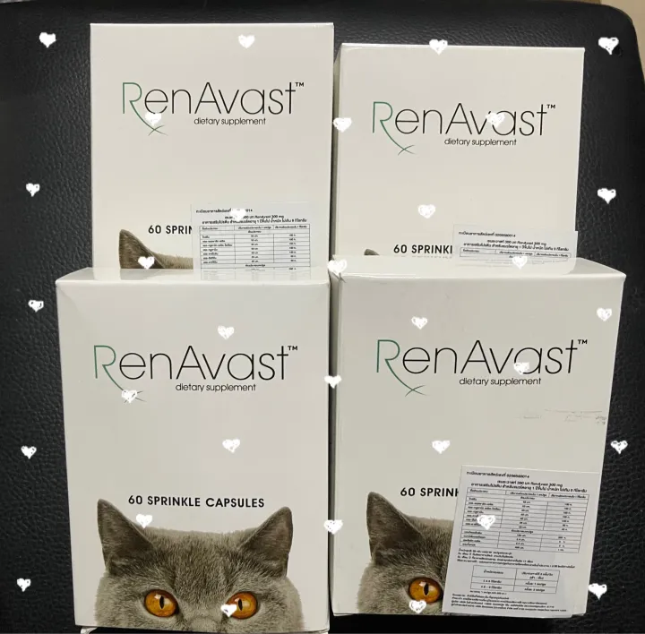 RenAvast Cat อาหารเสริมบำรุงไตสำหรับแมว ขนาด60 เม็ด (ของแท้100% ...