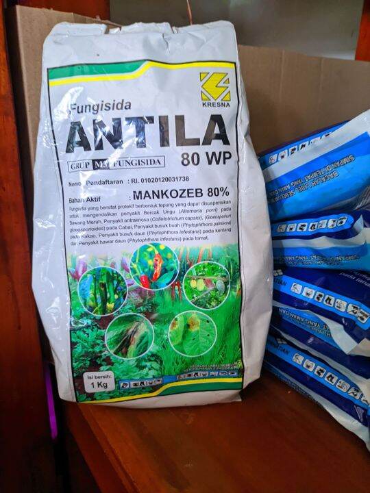 ANTILA 80WP fungisida 1kg | Lazada Indonesia