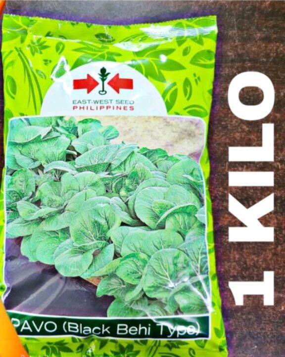 PAVO BLACK BEHI PECHAY SEEDS (KILO) BY EAST WEST SEEDS | Lazada PH