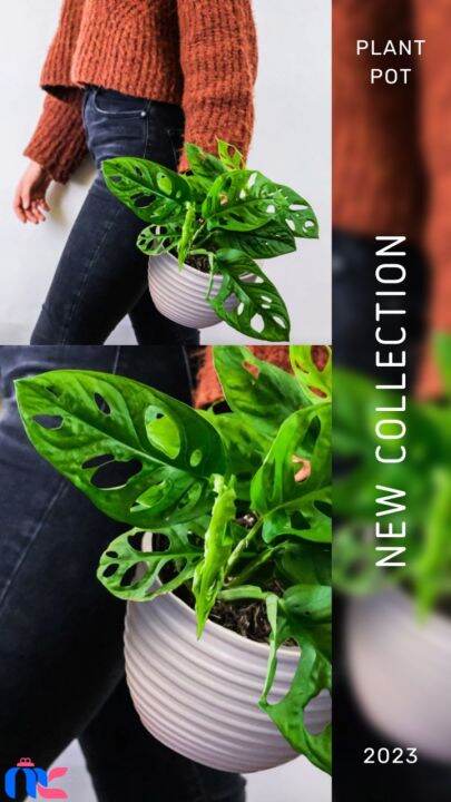 3 Pcs Plastic Paso Rectangular for Plants | pot for plant paso or pot ...