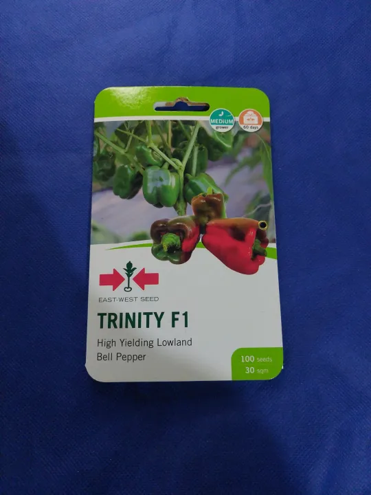 Trinity F1 (100 seeds) Hybrid Bellpepper / Atsal by East West Seed ...