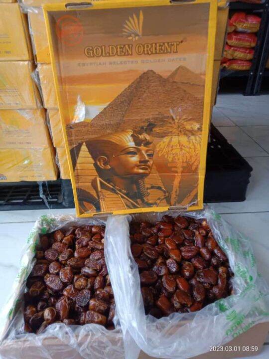 kurma golden orient 10kg | Lazada Indonesia