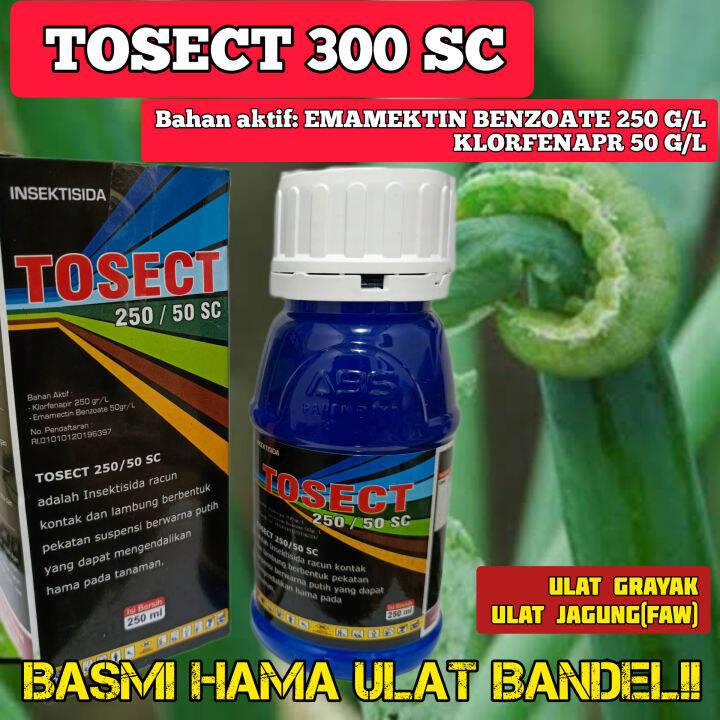 TOSECT 300SC INSEKTISIDA SPESIAL ULAT FAW/GRAYAK | Lazada Indonesia