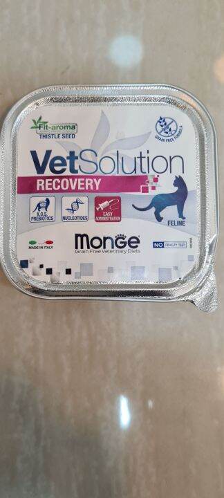 Monge Vetsolution Recovery For Cats 100g | Lazada PH