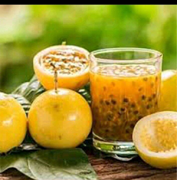 Buah Markisa segar 1kg | Lazada Indonesia