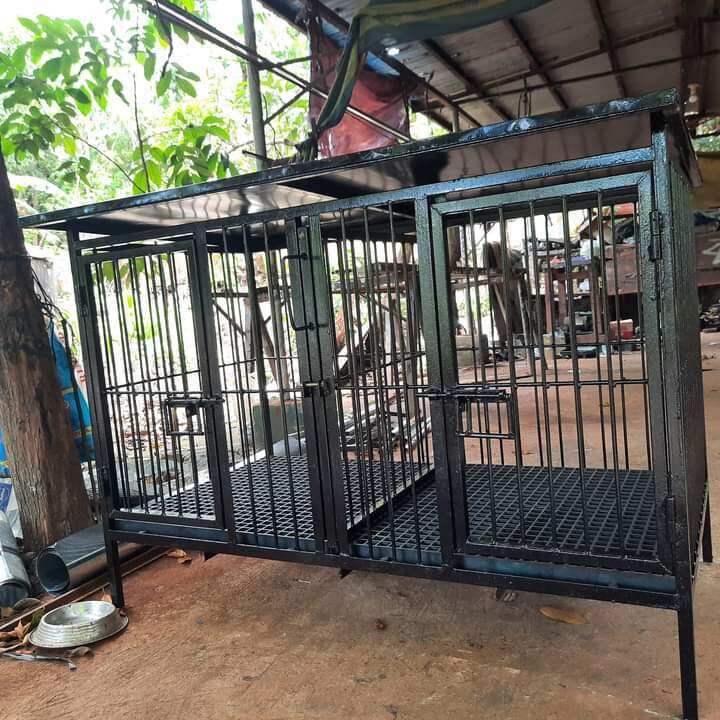Extra Large Dog Cage Dog Crate Dog Kennel For Outside China