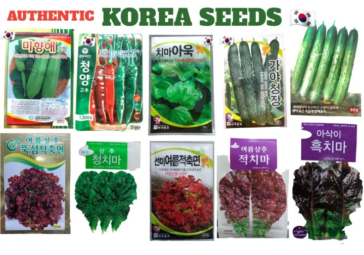 KOREA VEGETABLES SEEDS CUCUMBER SEEDS LETTUCE SEEDS SILI PEPPER SEEDS ...