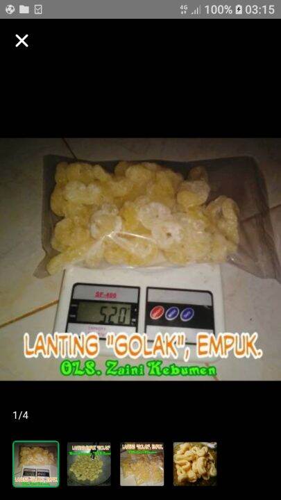 Lanting GOLAK Khas Kebumen, 500 gram, gurih, empuk | Lazada Indonesia