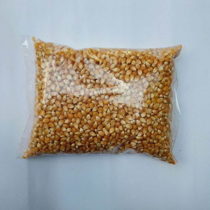 Jagung Popcorn mentah 1 kilo | Lazada Indonesia