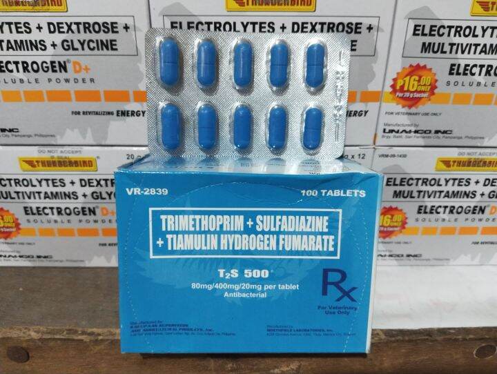 T2S 500 Sold Per 10 Tablets | Lazada PH