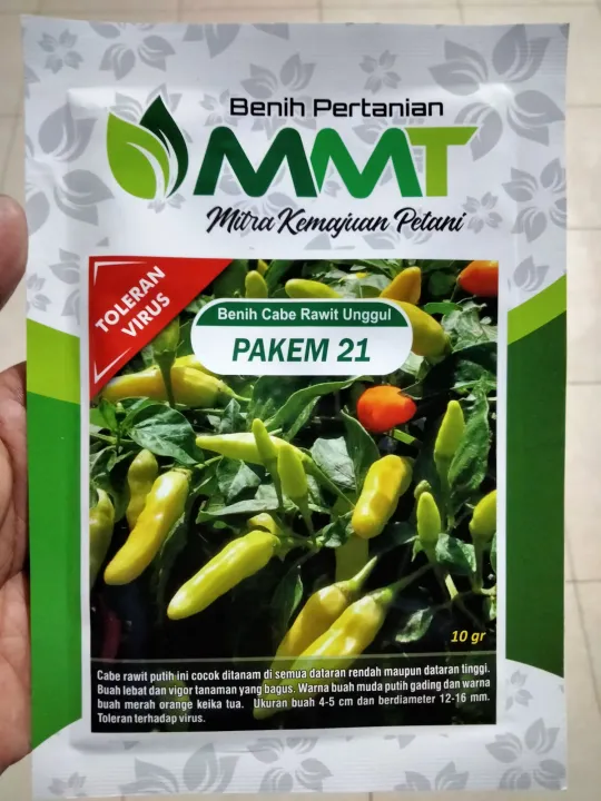 Benih Cabe Rawit PAKEM 21 MMT SEED 10 Gram - Bibit Cabe Rawit PAKEM 21 ...